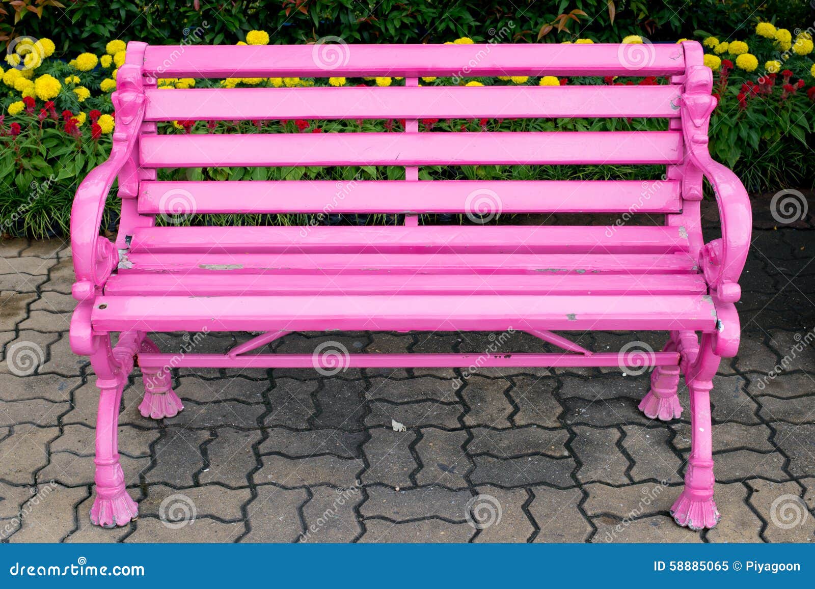Banc rose image stock. Image of maison, banc, stationnement - 58885065
