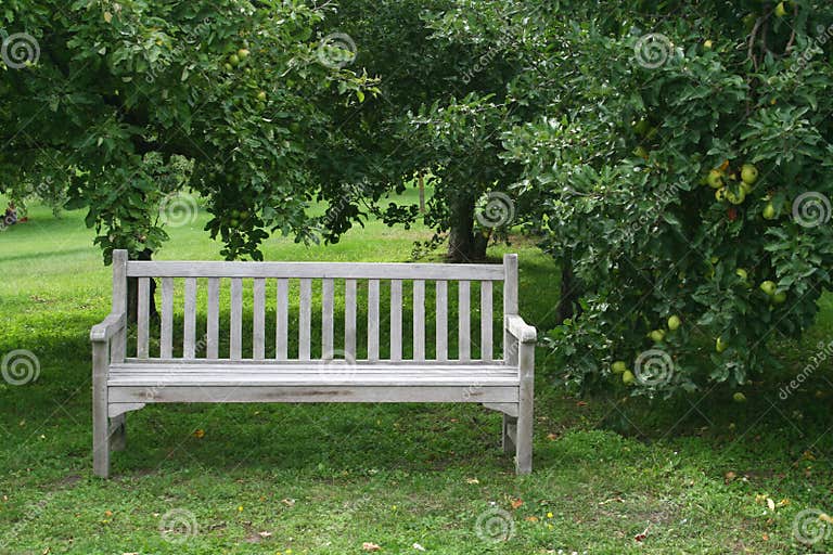 Banch stock image. Image of meadows, nature, apple, meadow - 24627795