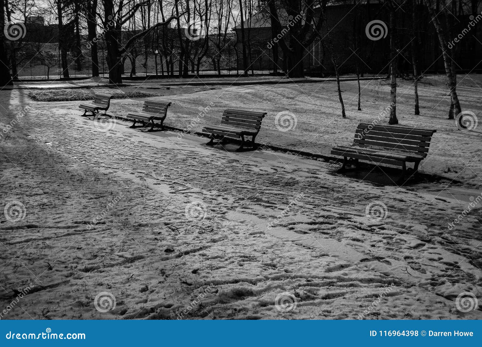 Banchi vuoti fotografia stock. Immagine di alberi, freddo - 116964398
