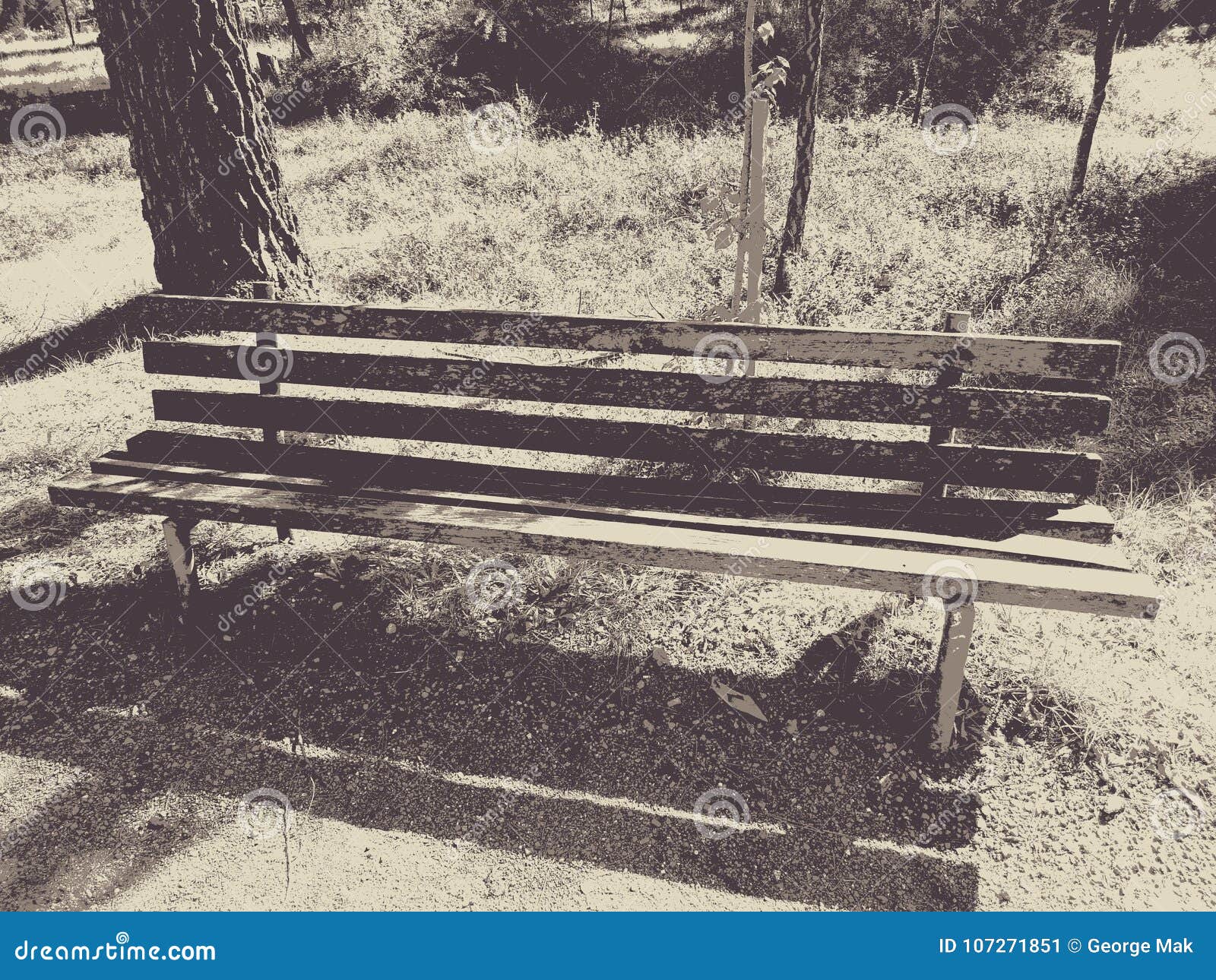 Banco blanco y negro imagen de archivo. Imagen de banco - 107271851