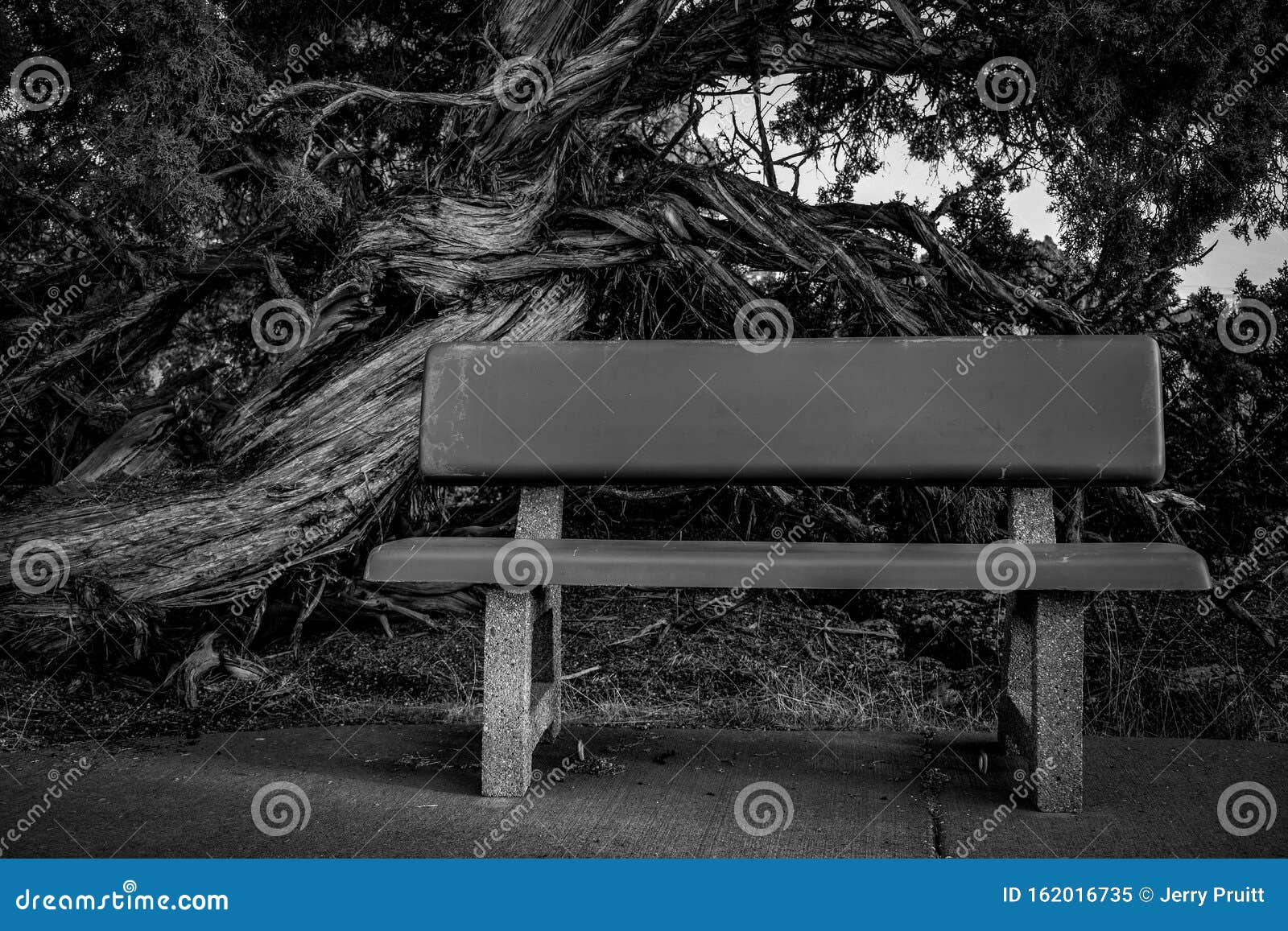 Banco blanco y negro imagen de archivo. Imagen de piedra - 162016735