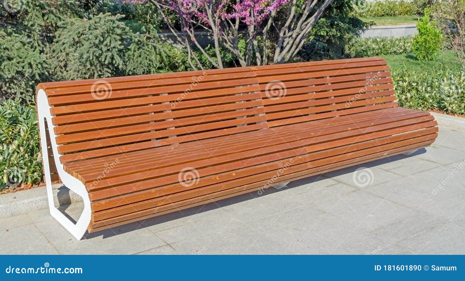 Banco De Madera En El Parque Foto de archivo - Imagen de tarjeta ...