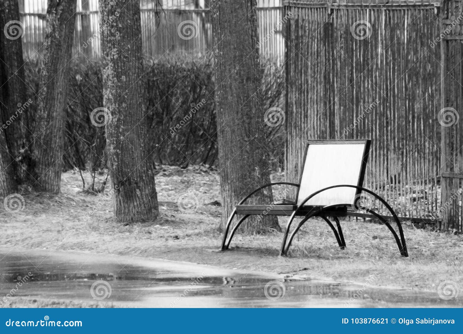 Banco De Madera En El Parque Reservado De La Ciudad Imagen de archivo ...