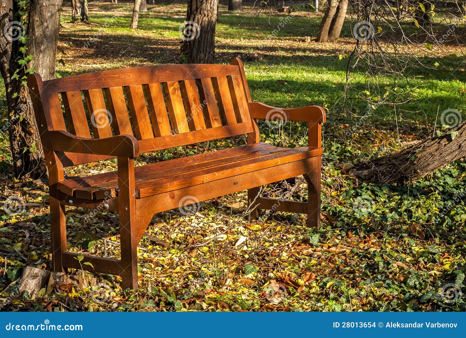 Banco de madera en parque foto de archivo. Imagen de madera - 28013654