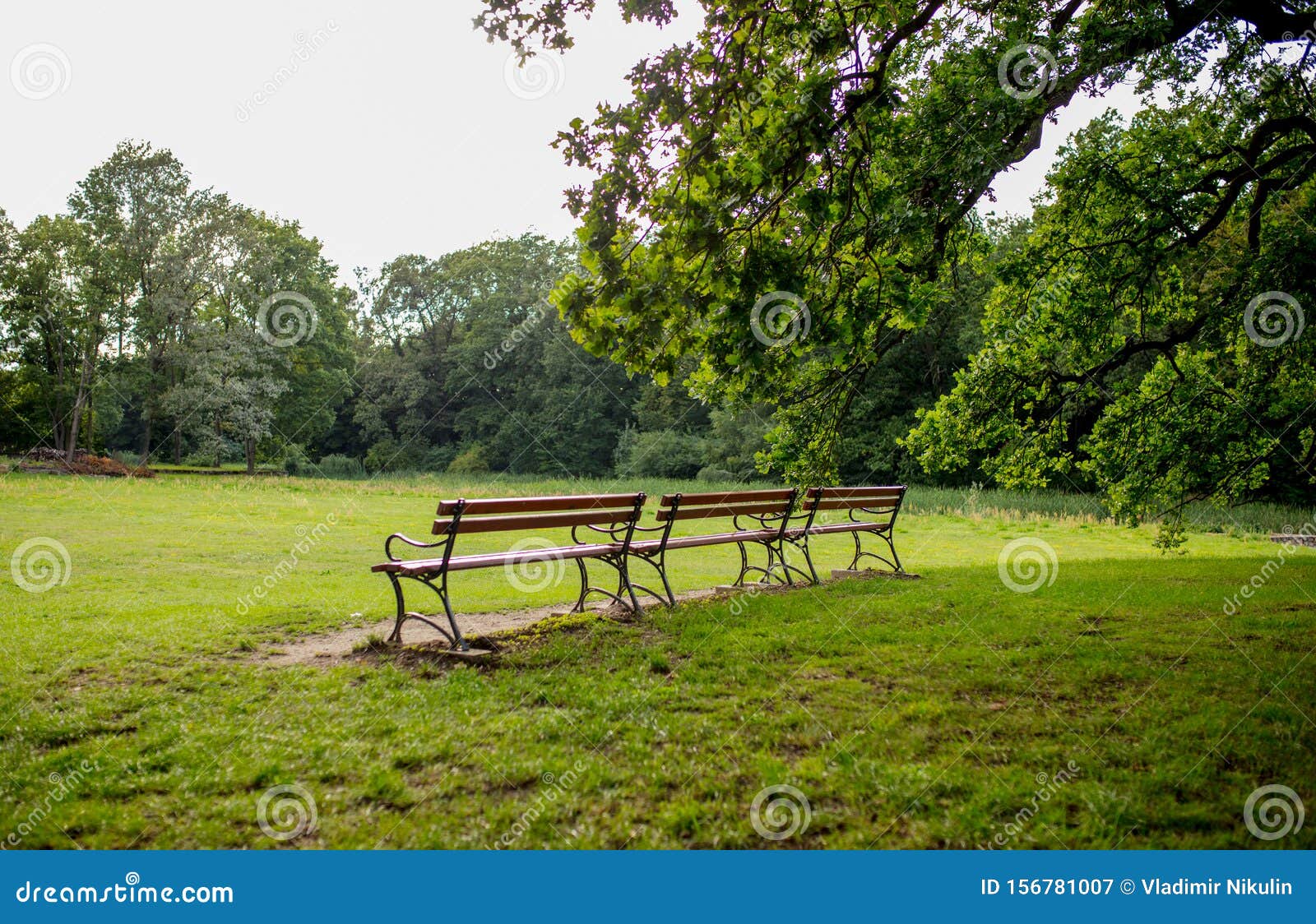 Banco De Madera En Un Parque, Polonia Imagen de archivo - Imagen de ...