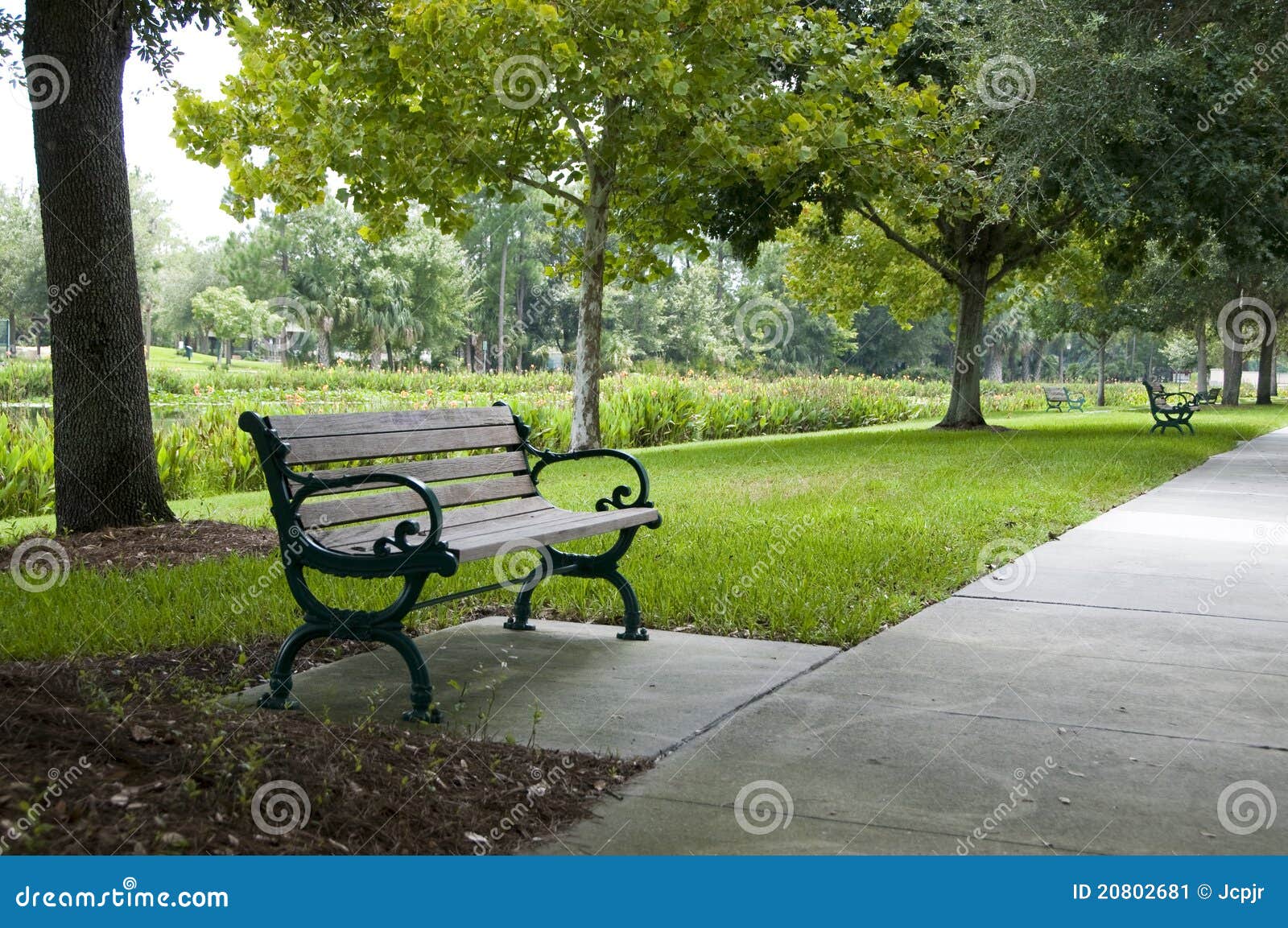 Banco de parque imagen de archivo. Imagen de parque, verde - 20802681