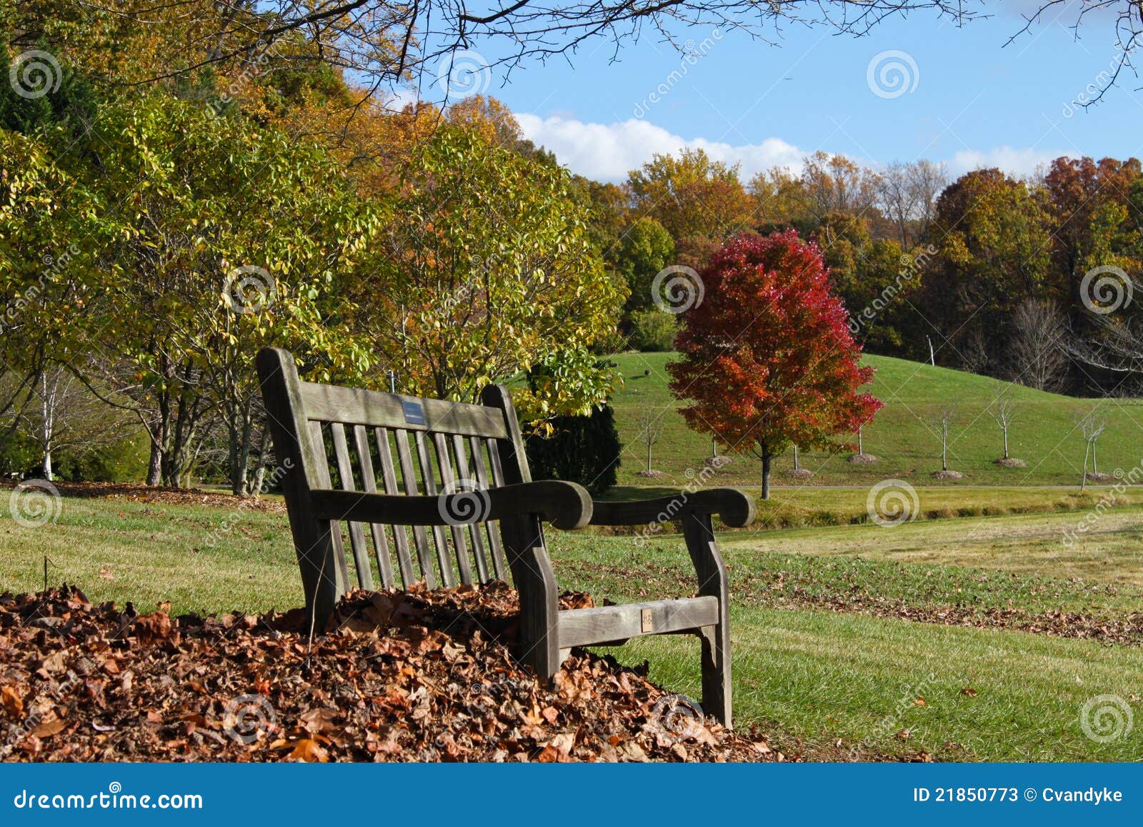 Banco de parque imagen de archivo. Imagen de banco, hierba - 21850773