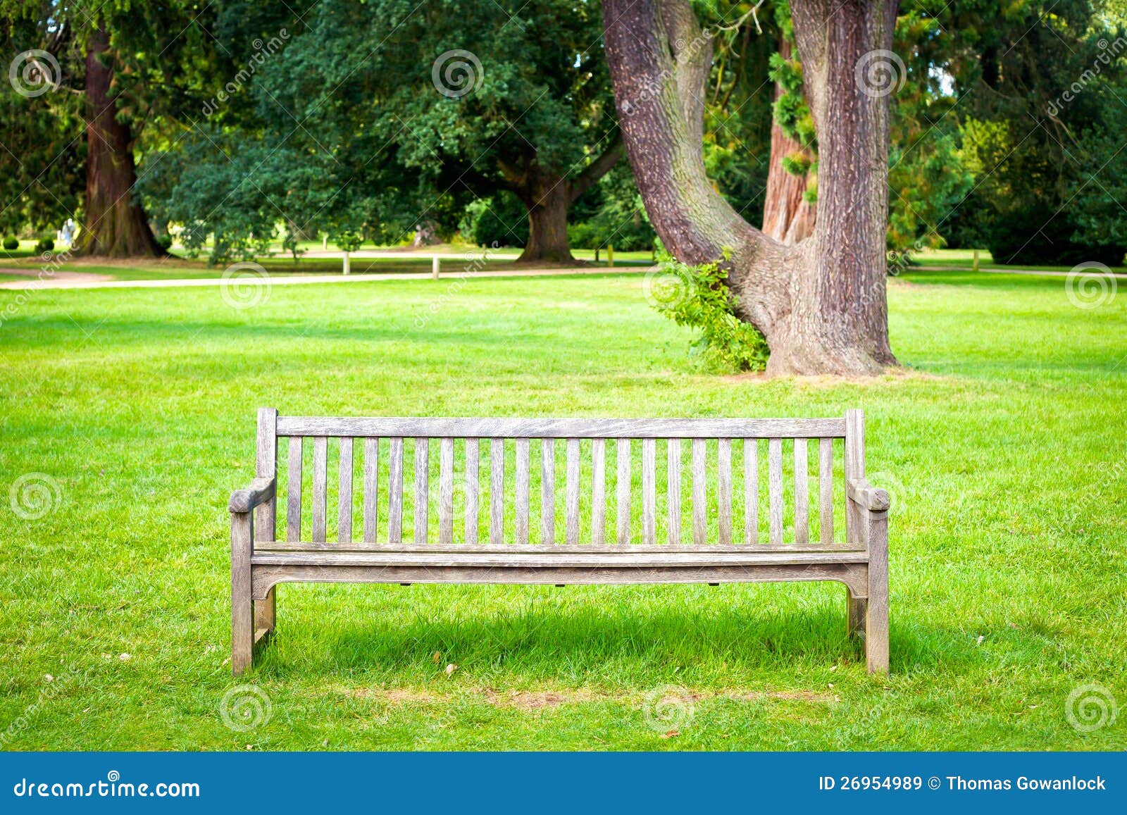 Banco de parque imagem de stock. Imagem de naughty, parque - 26954989