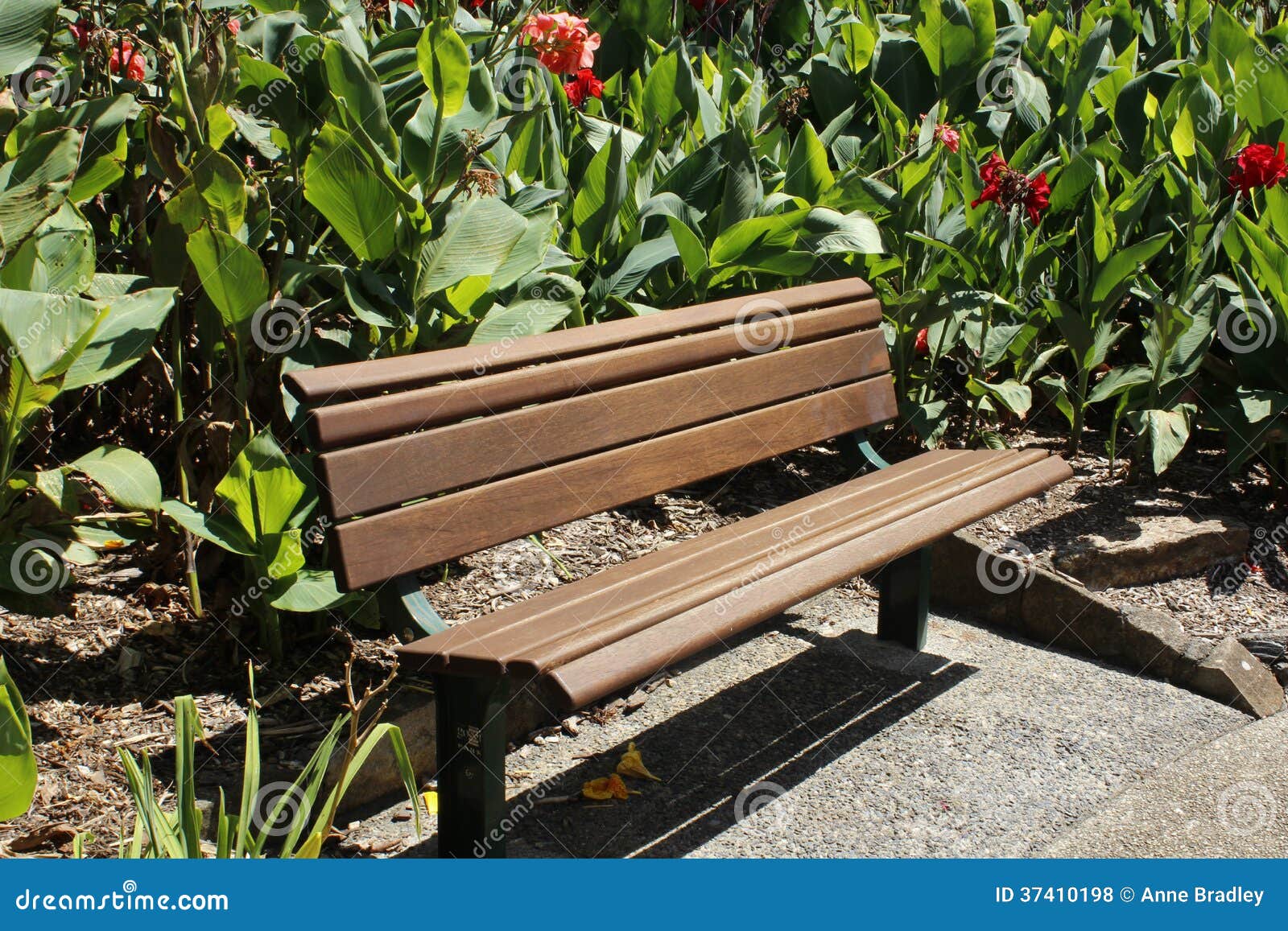 Banco de parque foto de stock. Imagem de descanso, rainha - 37410198