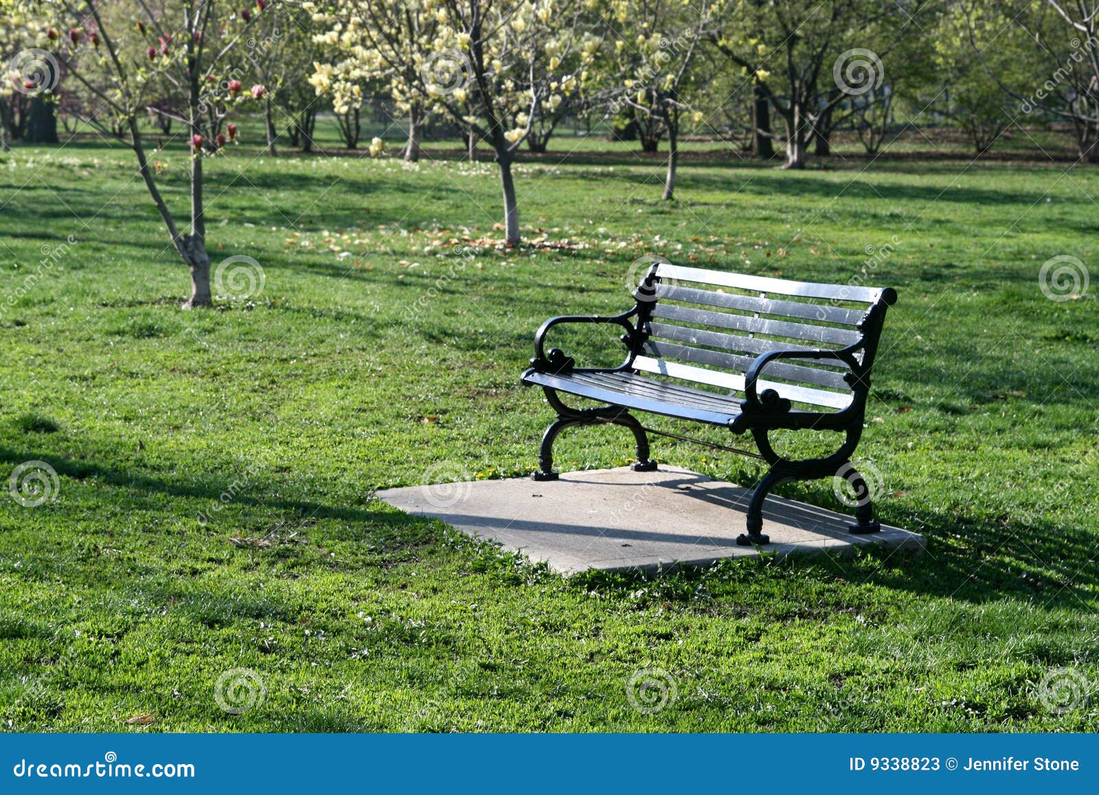 Banco De Parque Imagen. Imagen: 9338823