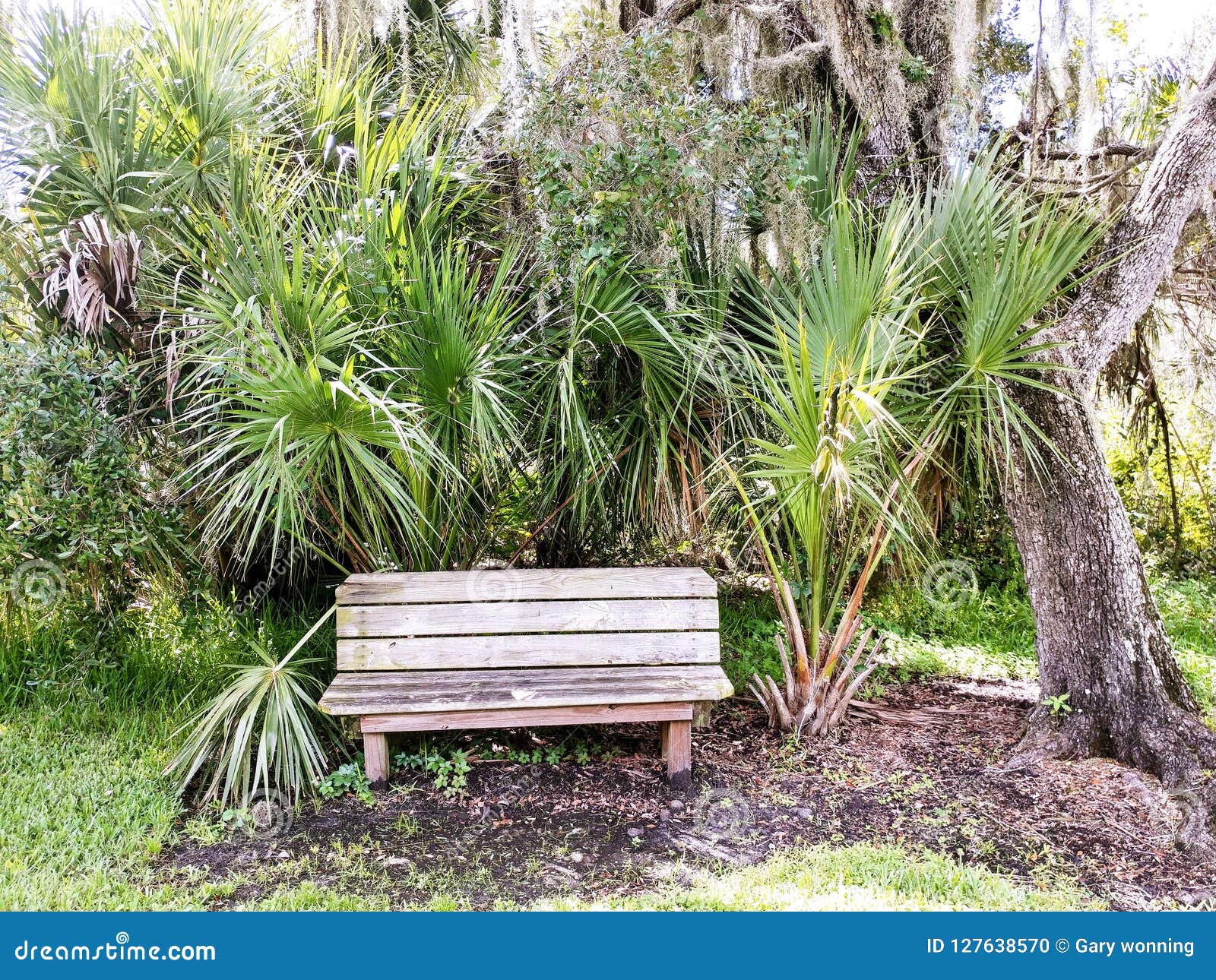 Banco De Parque De Madera En Un Parque Reservado De La Ciudad Foto de ...