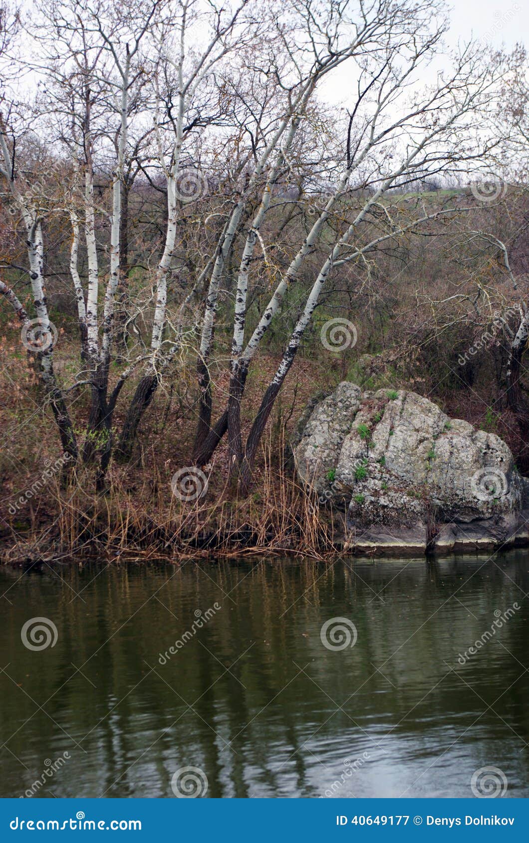 Banco de rio imagem de stock. Imagem de desolado, mola - 40649177