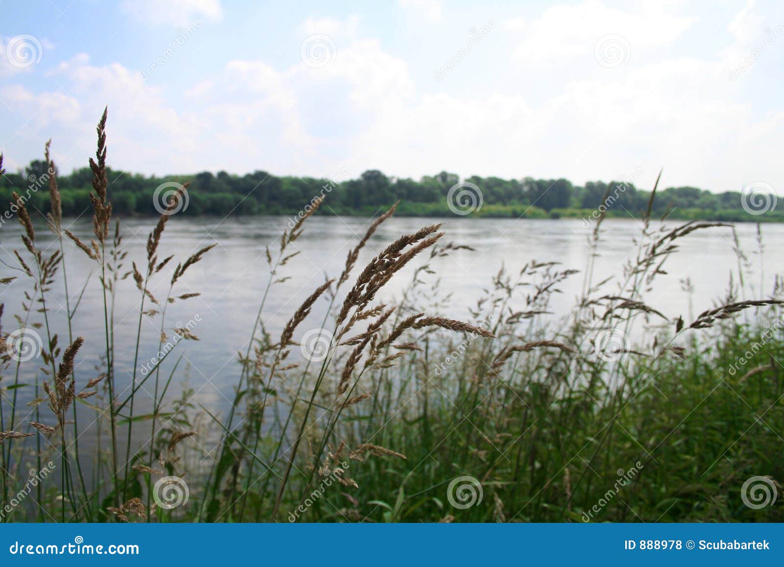 Banco de rio foto de stock. Imagem de costa, banco, fluxo - 888978