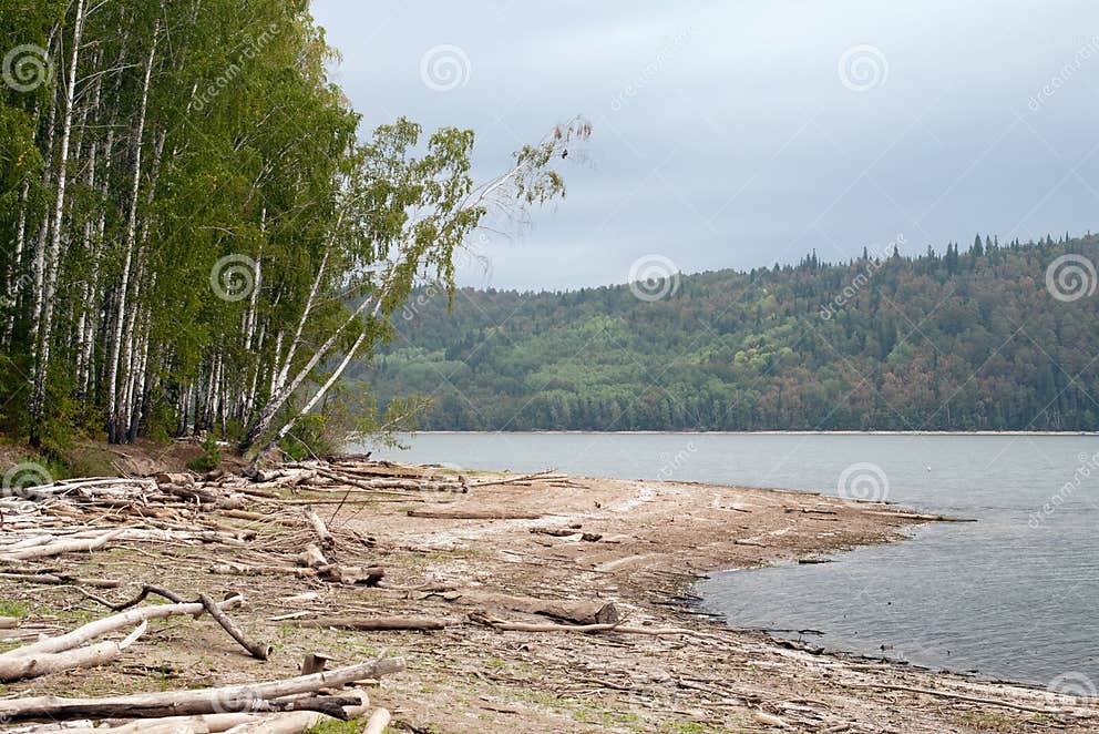 Banco De Rio Com Logs Drawned Imagem de Stock - Imagem de azul, frio ...