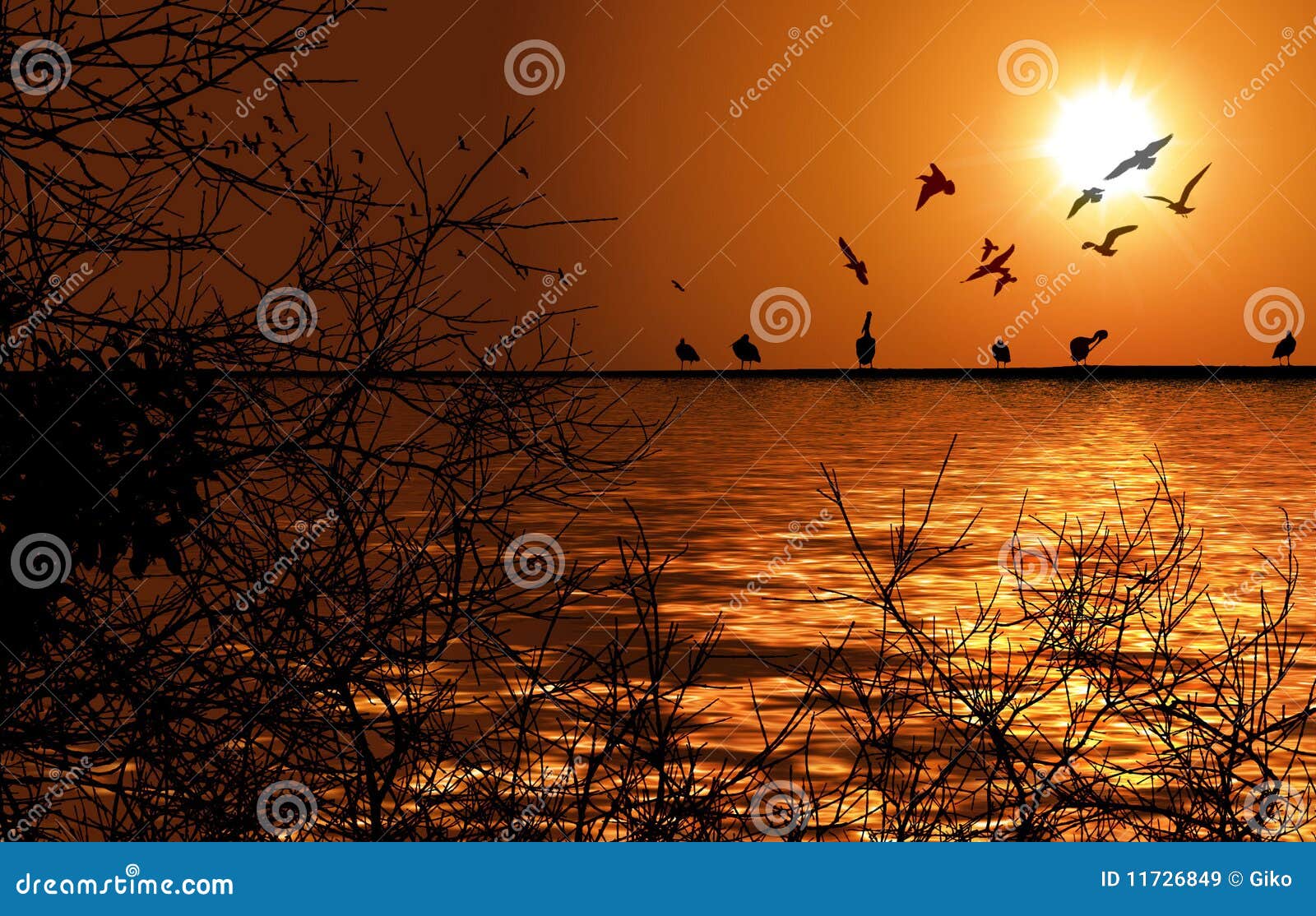 Banco de rio de Nile imagem de stock. Imagem de gramado - 11726849