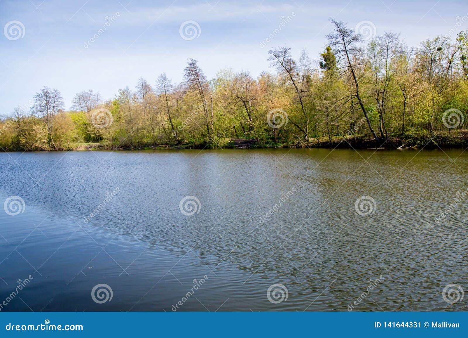 Banco de rio na mola imagem de stock. Imagem de aventura - 141644331