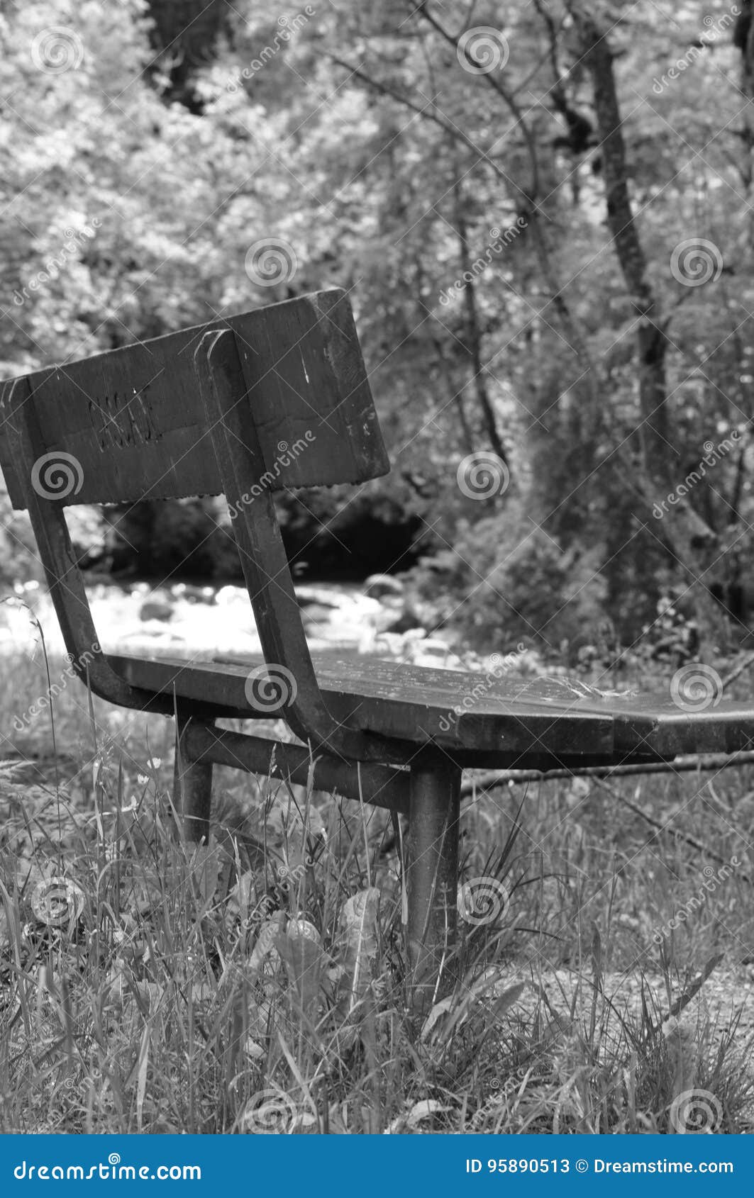 Banco en blanco y negro imagen de archivo. Imagen de calma - 95890513