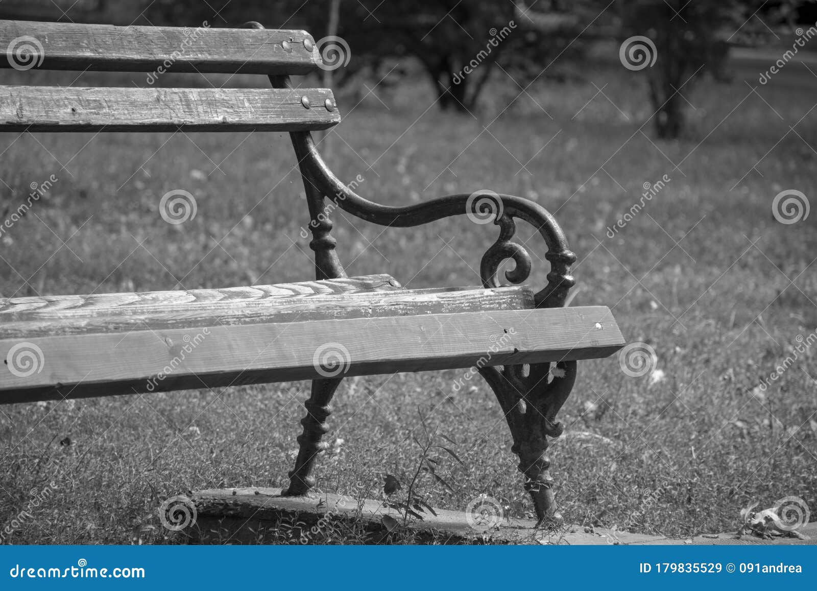 Banco En Un Parque Blanco Y Negro Imagen de archivo - Imagen de objeto ...