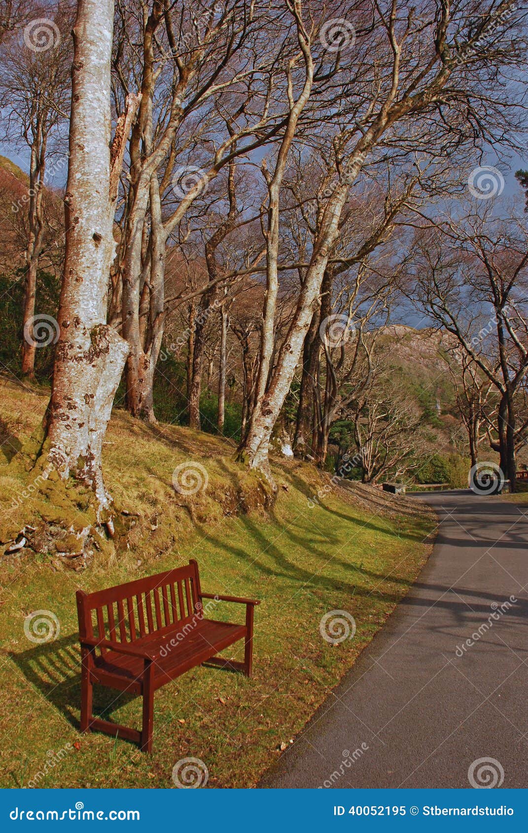 Banco Vacío En Un Parque Reservado Imagen de archivo - Imagen de ...