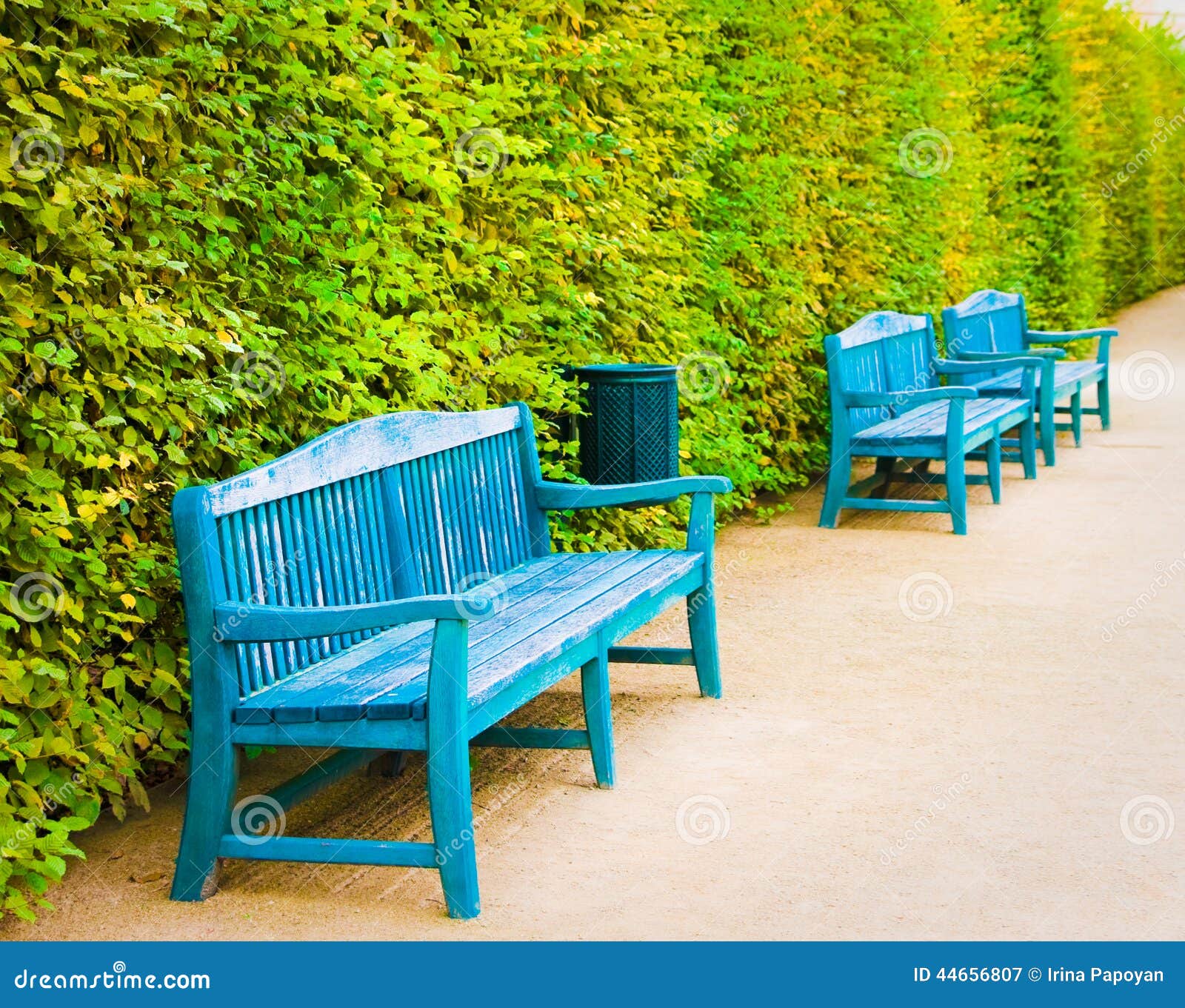 Bancos De Madera Azules En Parque Imagen de archivo - Imagen de banco ...