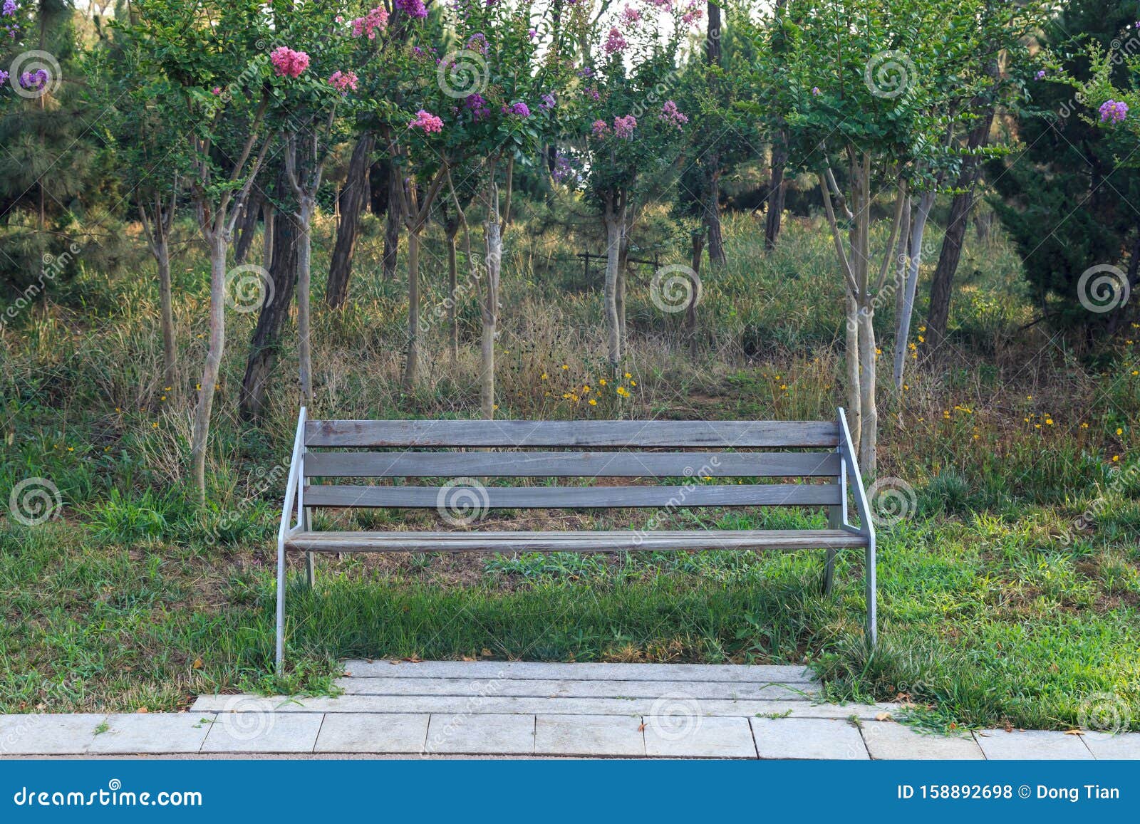 Bancos en el parque foto de archivo. Imagen de durante - 158892698