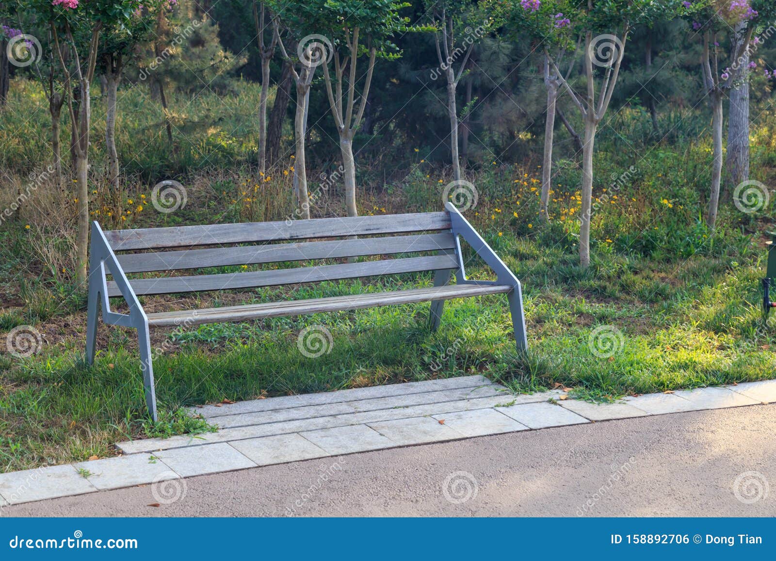 Bancos en el parque foto de archivo. Imagen de silla - 158892706