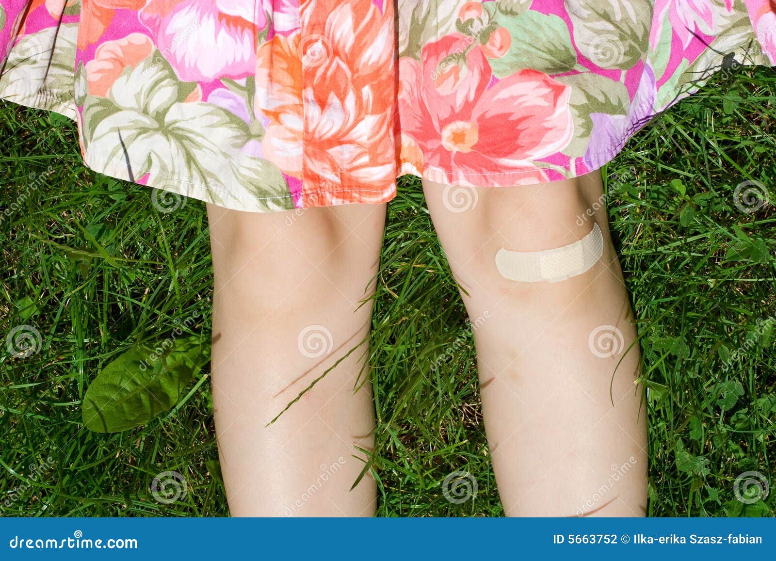 Bandage on injury stock photo. Image of hurt, blood, help - 5663752