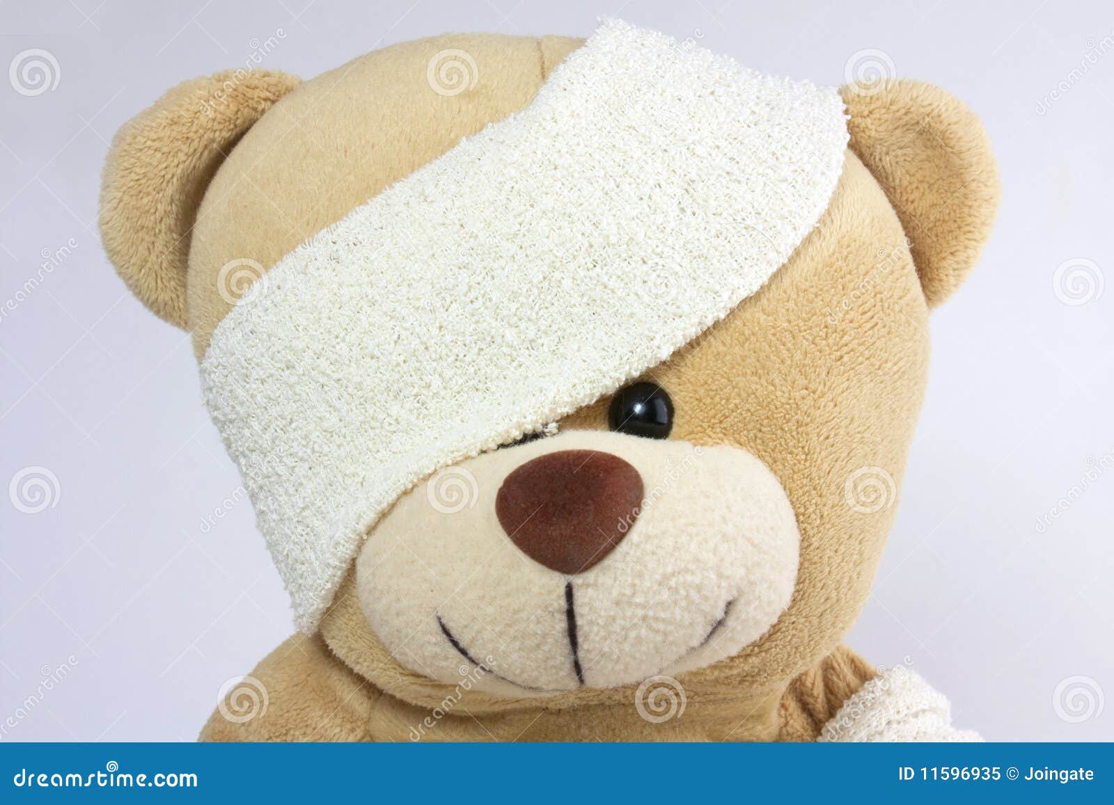 Bandaged bear head and eye stock image. Image of injury - 11596935