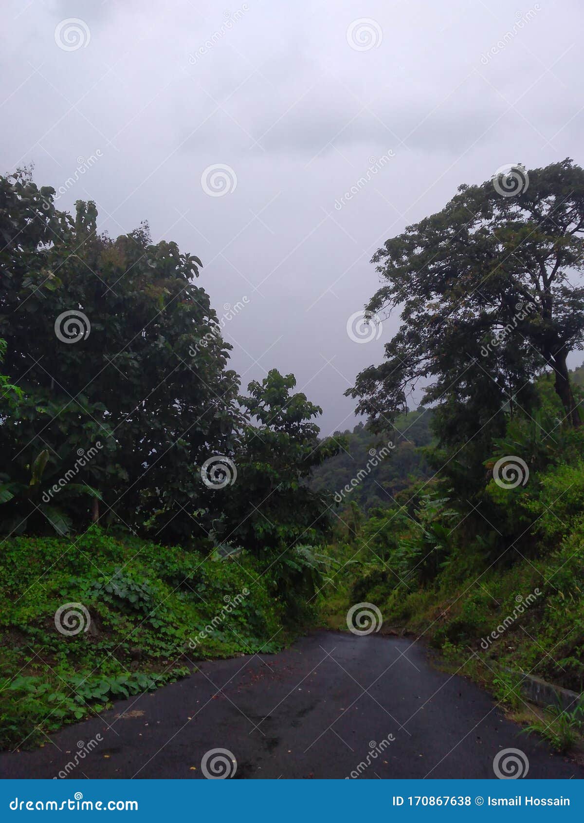 Morning stock photo. Image of hill, forest, chottogram - 170867638
