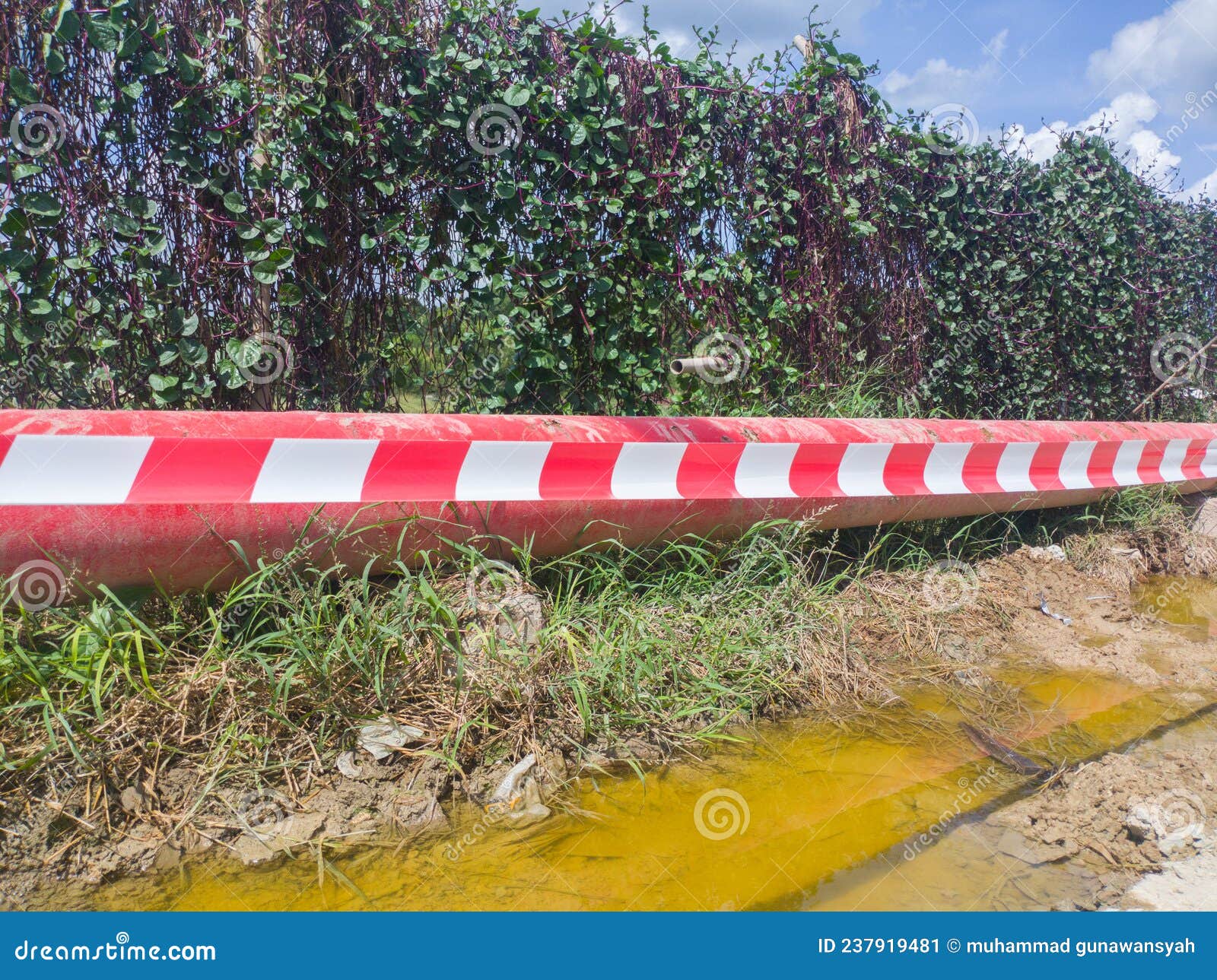 Bande De Danger Rouge Et Blanc Interdite De Passage Image stock - Image ...