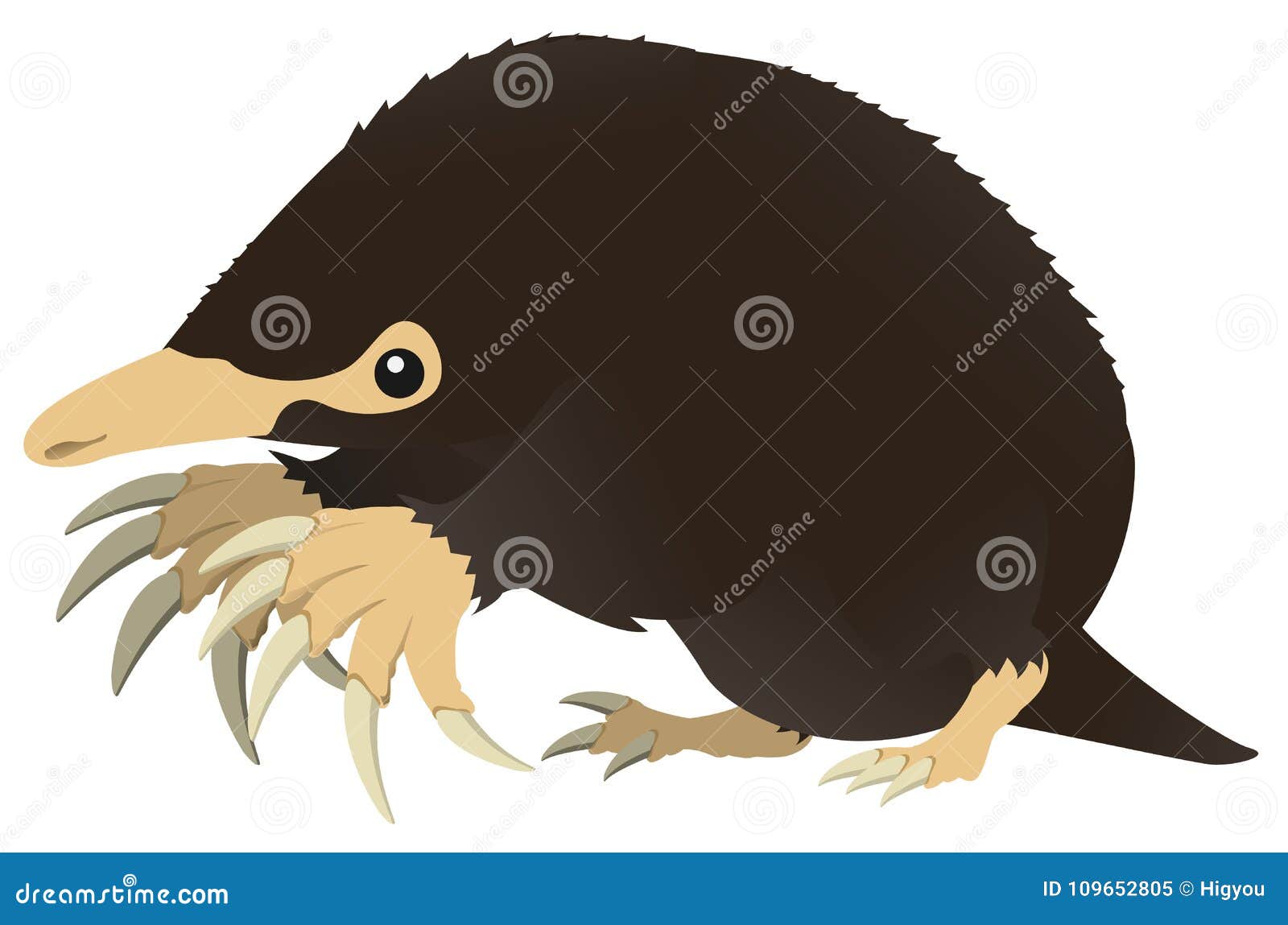 Cartoon Taupe Stock Illustrations, Vecteurs, & Clipart – (2,055 Stock ...