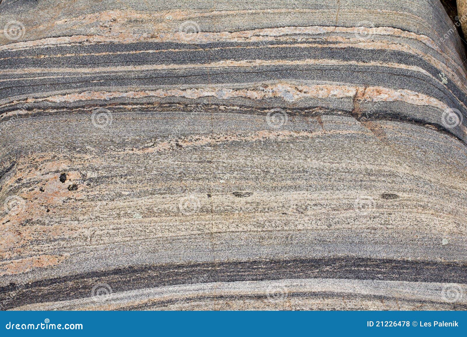 Banded gneiss rock stock photo. Image of physical, texture - 21226478