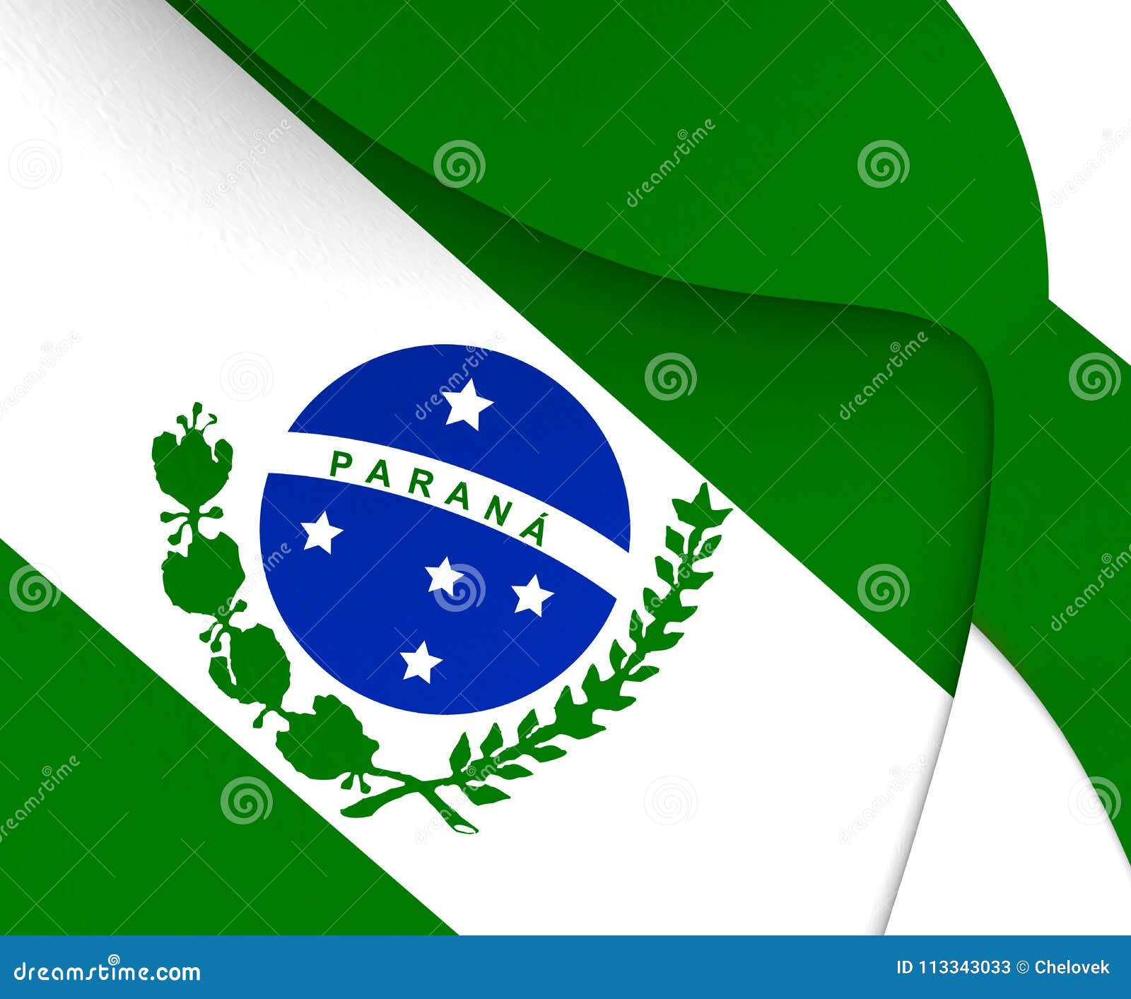 Bandeira De Parana Brasil Ilustração Stock Ilustração De Vibrar