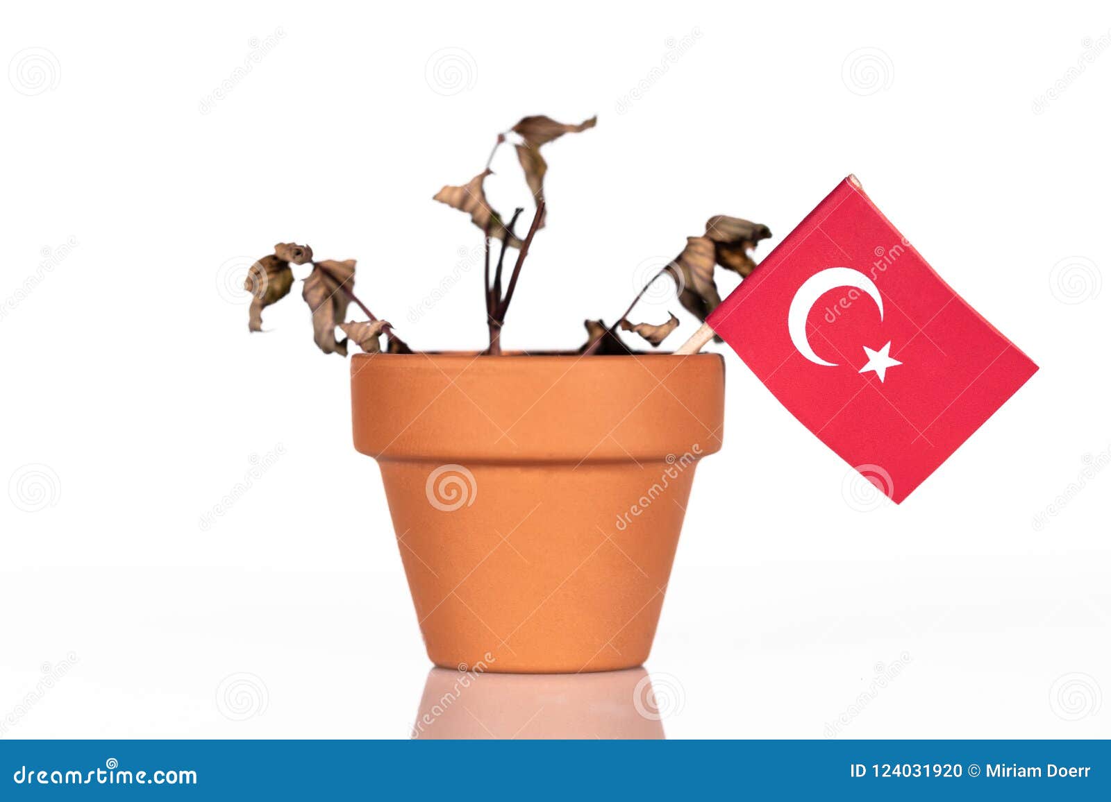 Bandeira Do Peru Em Um Vaso De Flores Com Flor Da Seca Foto de Stock ...