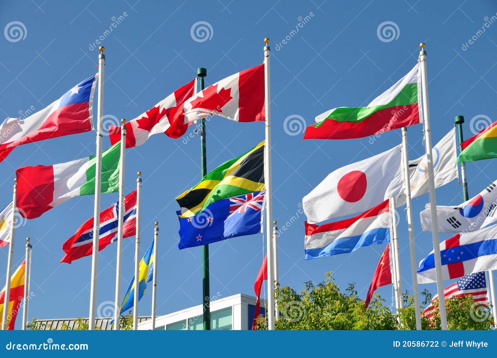 Bandeiras do mundo foto de stock. Imagem de argentina - 20586722