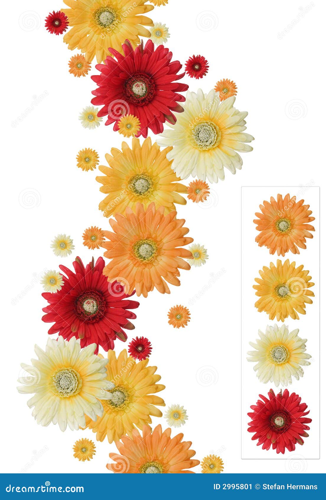 Bandera de la flor stock de ilustración. Ilustración de flor - 2995801