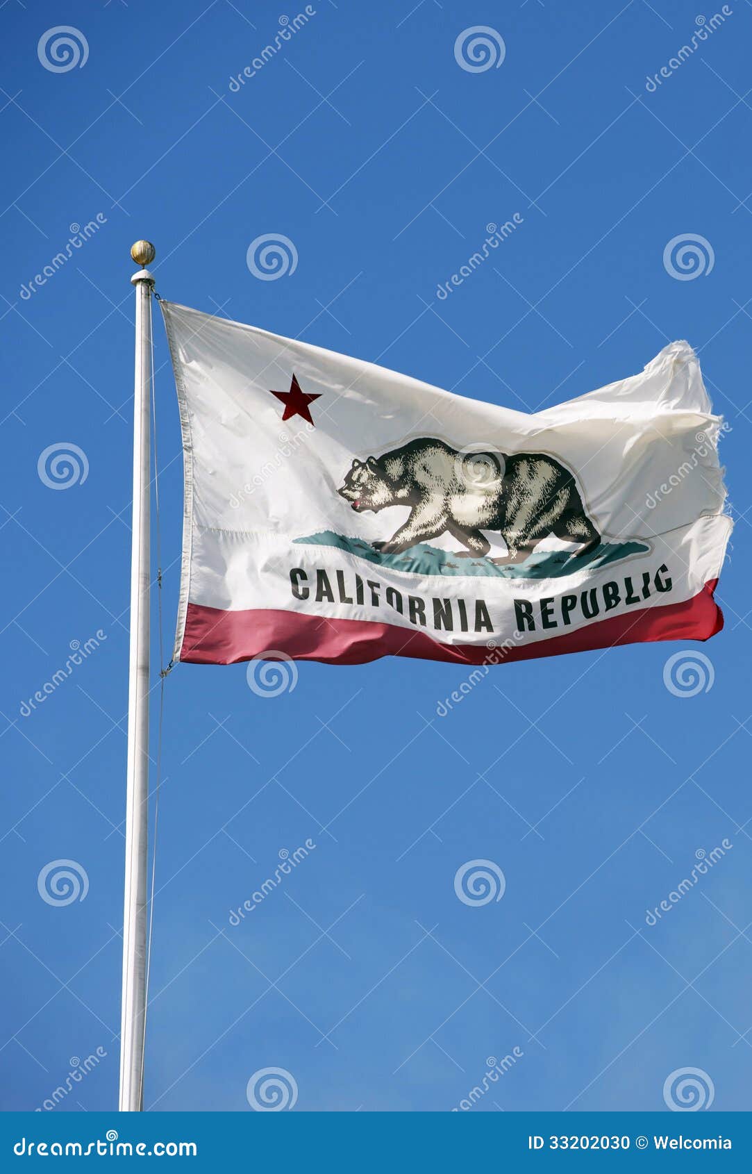 Bandera De La República De California Foto de archivo - Imagen de ...