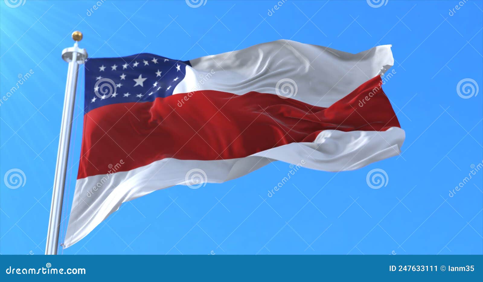 Bandera Del Estado De Amazonas Brasil Stock de ilustración ...