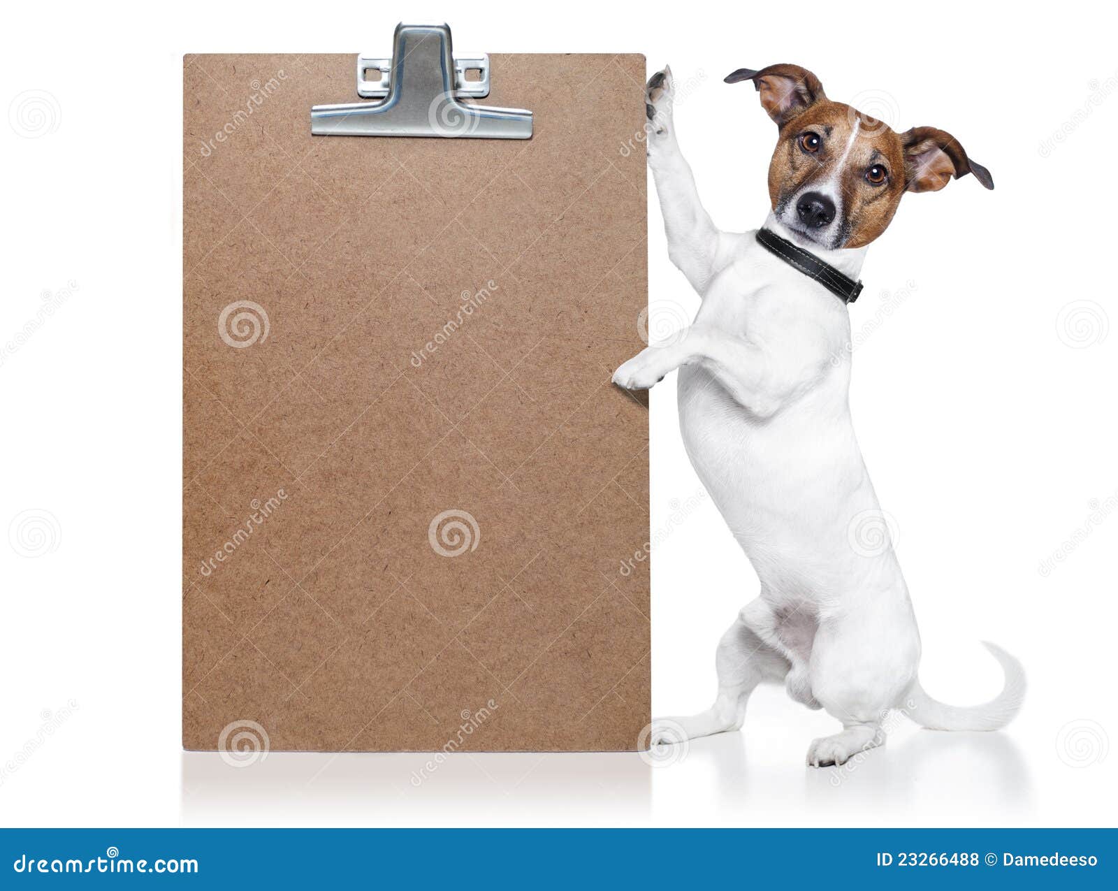 Bandera del perro foto de archivo. Imagen de humor, cartel - 23266488