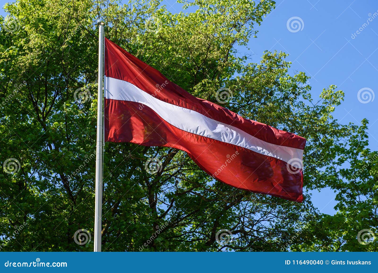 Bandera Letona En Palo De La Bandera Imagen editorial - Imagen de ...