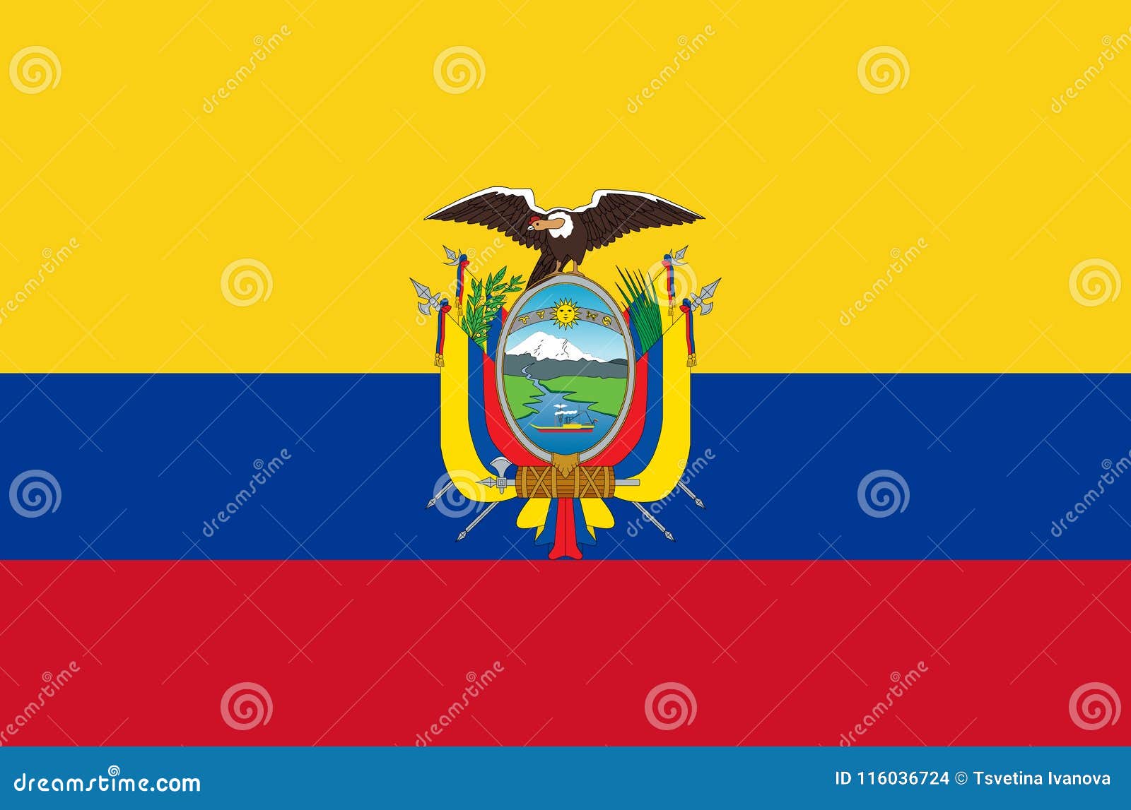 Bandera Nacional Ecuatoriana Bandera Oficial De Los Colores Exactos De
