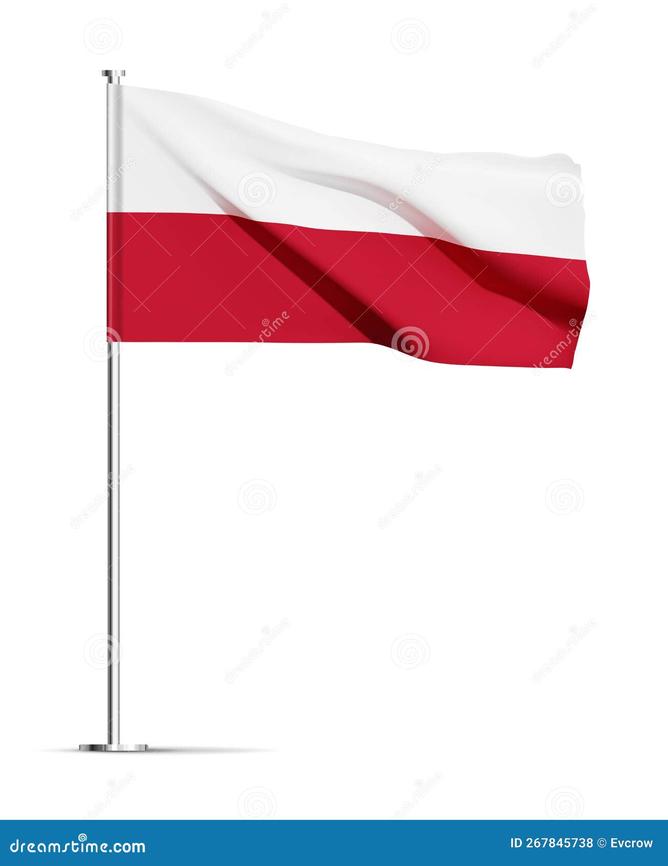 Bandera Polaca Aislada En Fondo Blanco Ilustración del Vector ...