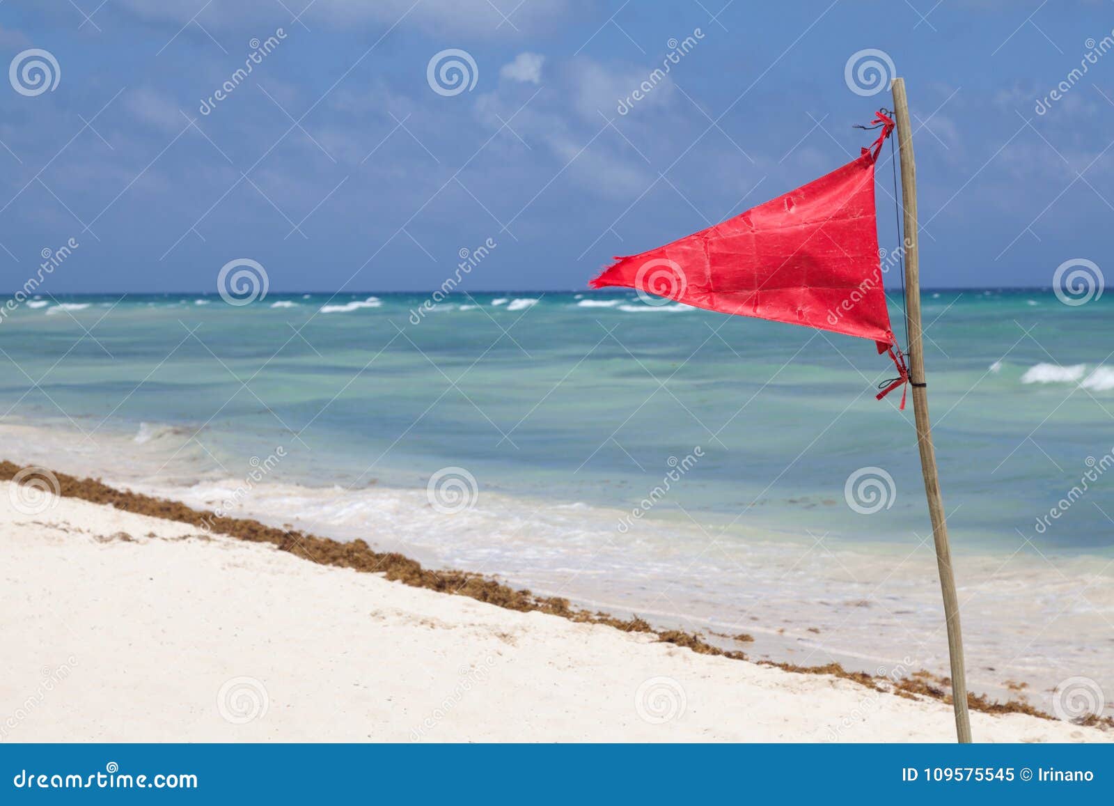 Bandera Roja En La Playa Tropical Imagen de archivo - Imagen de algas ...