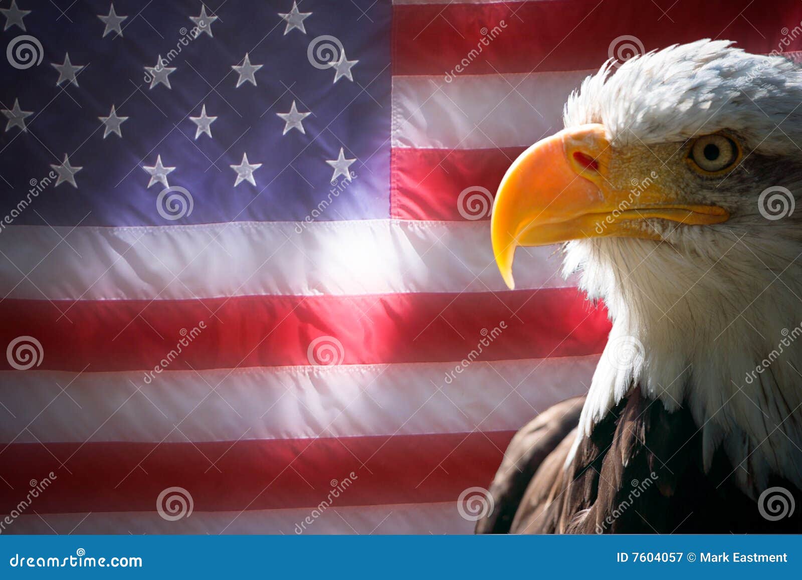 Bandiera Americana Ed Aquila Immagine Stock - Immagine di unito, aquila ...