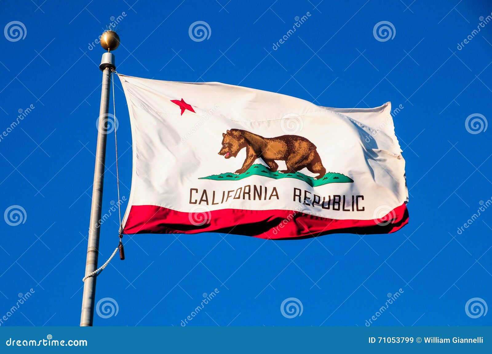 Bandiera Della Repubblica Di California Immagine Stock - Immagine di ...