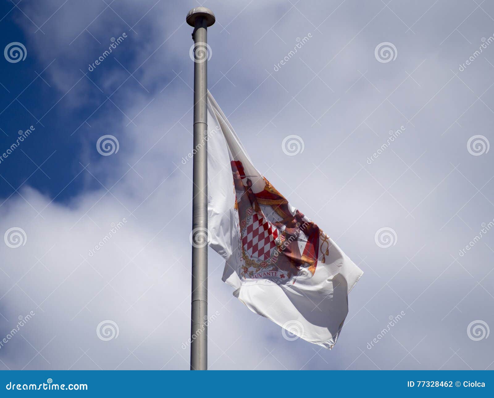 Bandiera Della Stemma Del Monaco Fotografia Editoriale - Immagine di ...