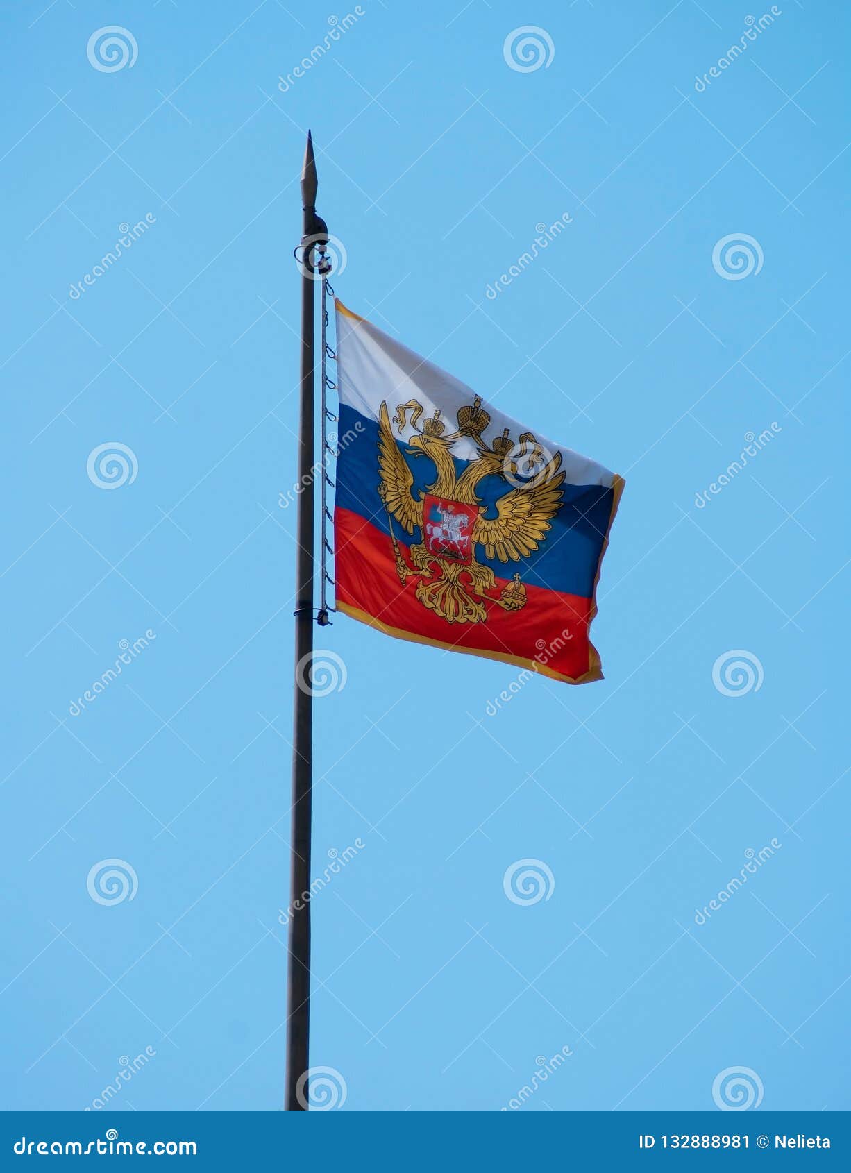 Bandiera Russa Della Stemma Immagine Stock - Immagine di imperiale ...