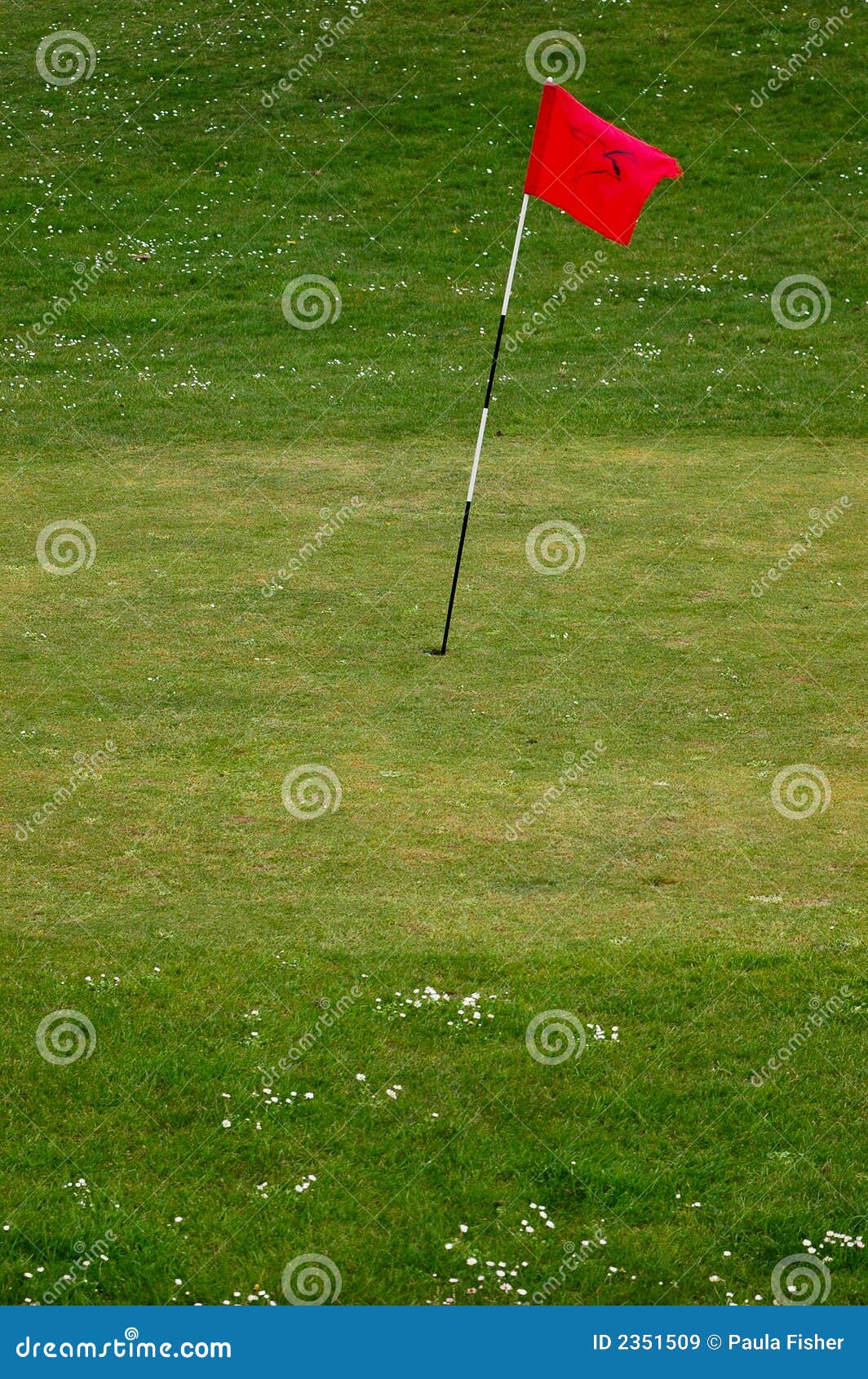 Bandierina Del Foro Di Golf Immagine Stock - Immagine di corso, foro ...