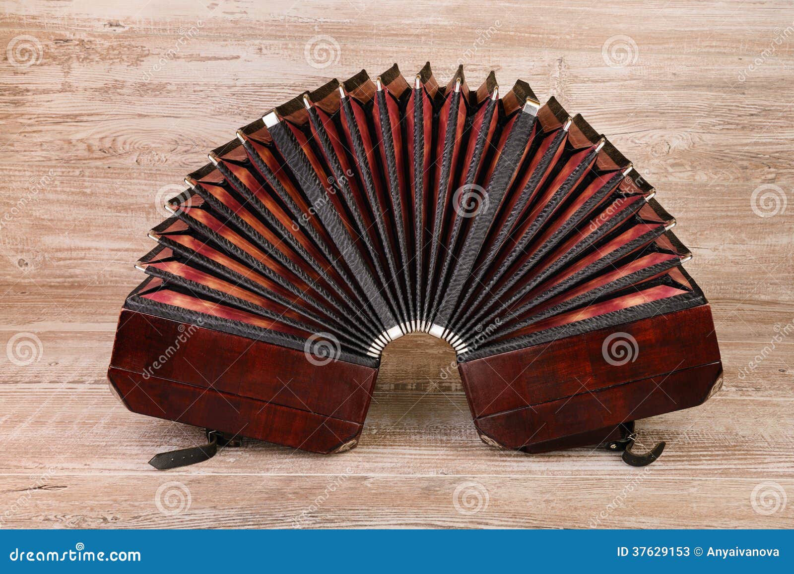 Bandoneon, Instrument De Tango Image stock - Image du closeup, texte ...
