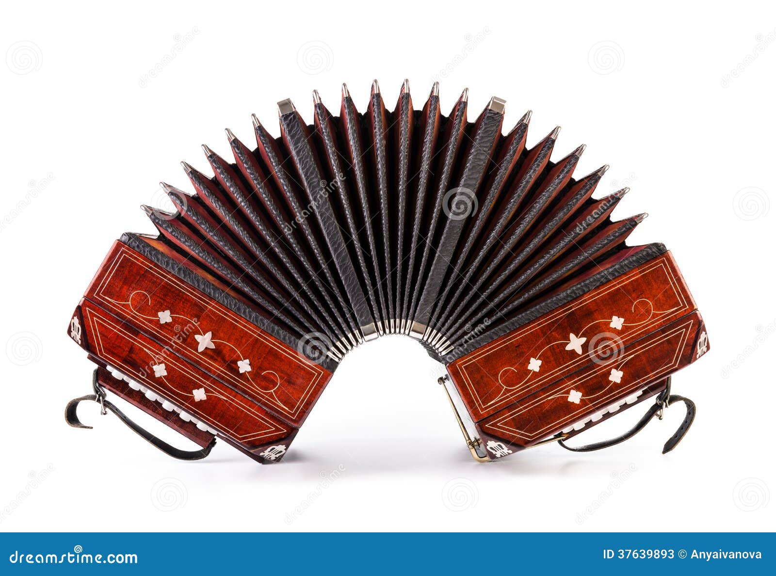 Bandoneon, Instrument De Tango Illustration Stock - Illustration du ...
